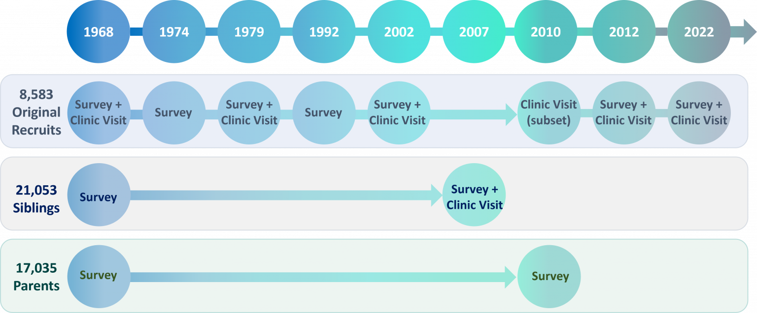 History of TAHS – TAHS
